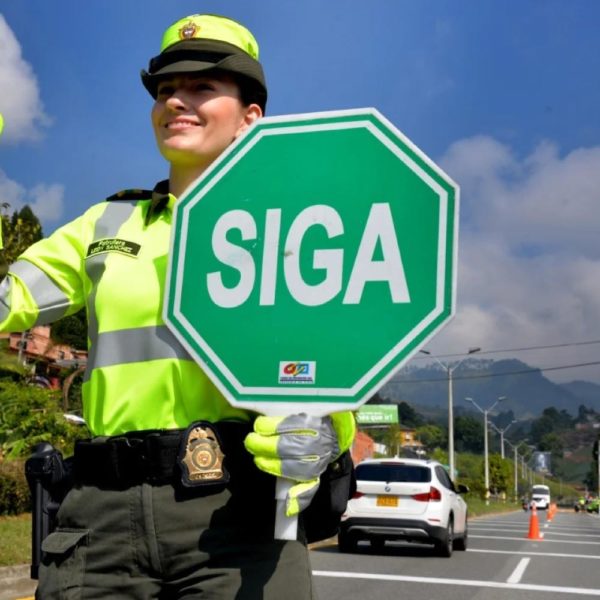 Paleta Pare y Siga Viales | Neoland SAS